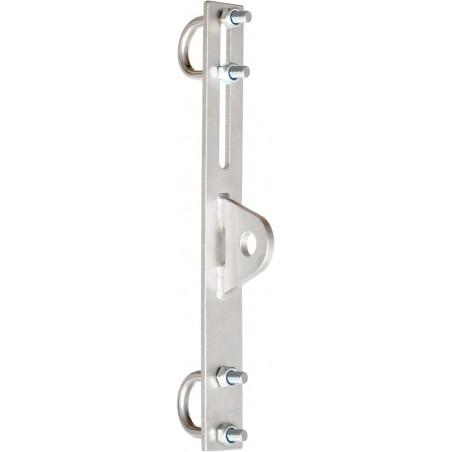 Extremity plate for two ladder rungs